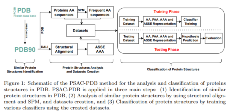 Introducing PSAC-PDB: A Novel Approach to Protein Structure Analysis and Classification | The ...